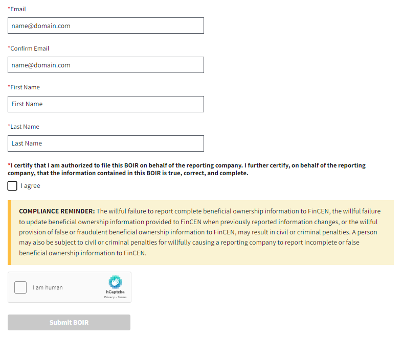 How do I file a Business Owner Information (BOI) report? [A step-by-step guide with pictures]